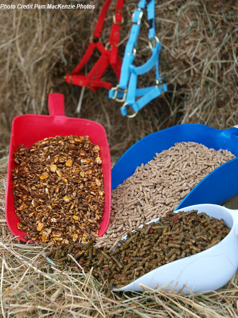 Educational Resources - Equestrian Nova Scotia